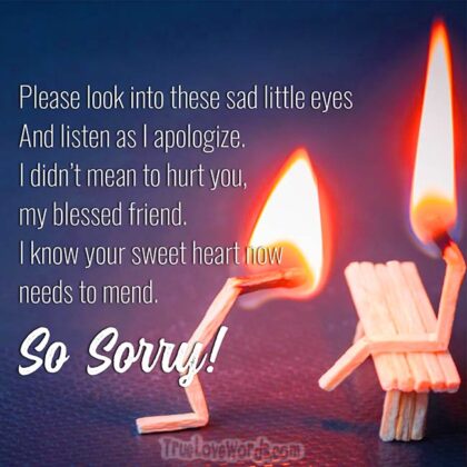 Sorry Messages For Friends And Sincere Apologies » True Love Words