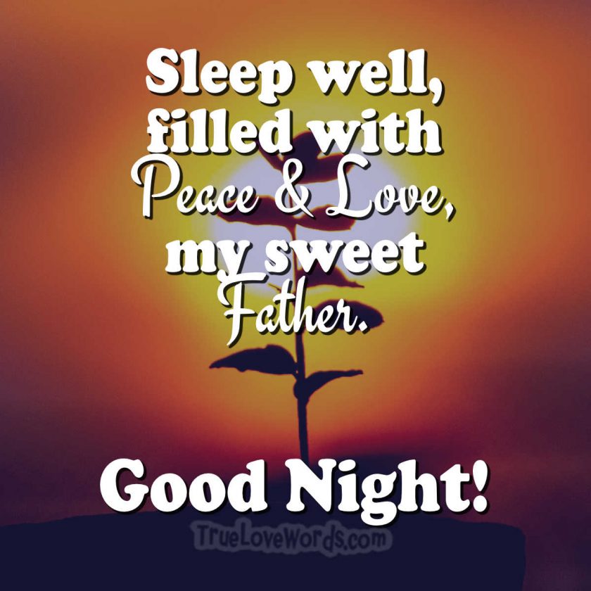60 Sweet Good Night Wishes for Dad » True Love Words